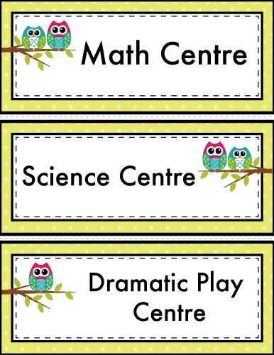 Owl Classroom Center Labels - U.S - Learning Attic