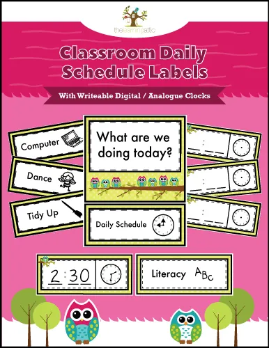 Owl Classroom Daily Schedule Labels - Learning Attic