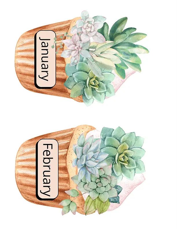 Succulents & Cupcakes Birthday Bulletin Board - Learning Attic