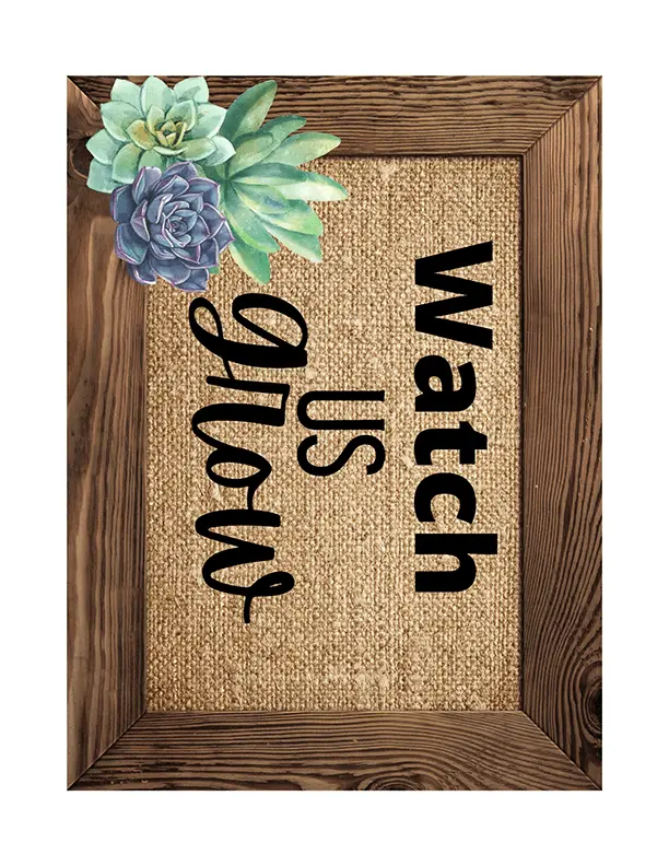 Succulents & Cupcakes Birthday Bulletin Board - Learning Attic