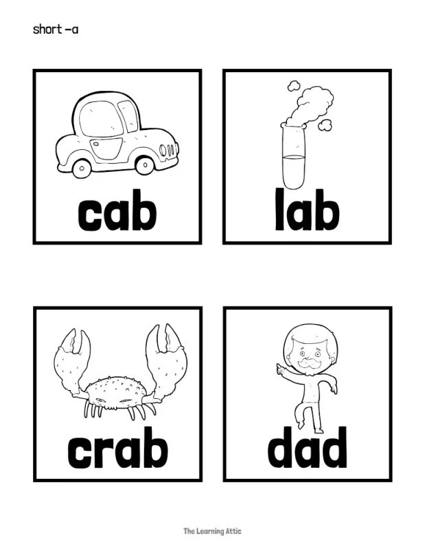 Long and Short Vowels Phonics Flipbooks, 300+ Word Families Fluency ...