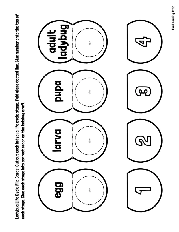 Ladybug Life Cycle Craft Cut & Glue Science Sequencing Spring ...