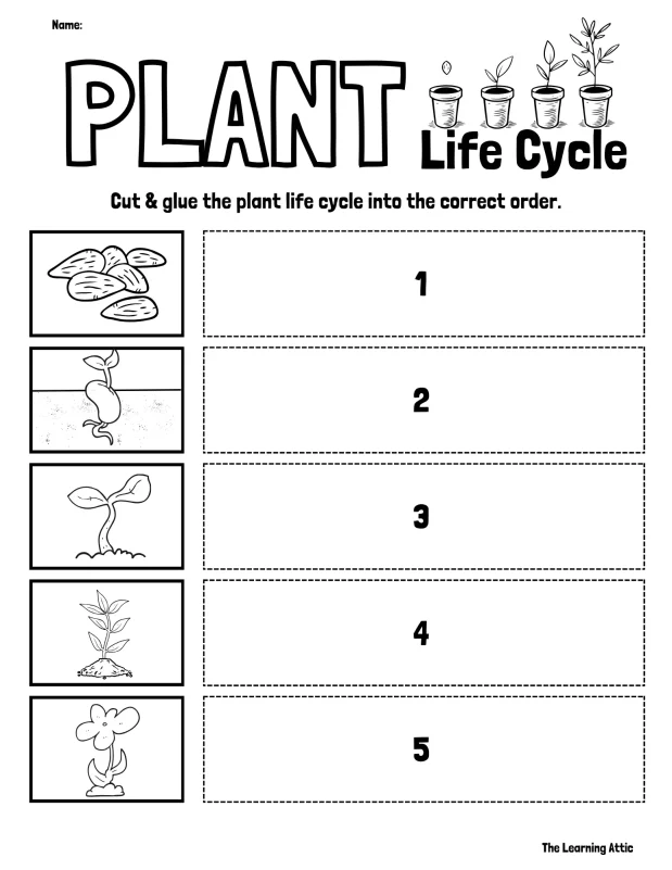 Earth Day Writing Prompts Seed Packet Craft Template | April Plant Life ...