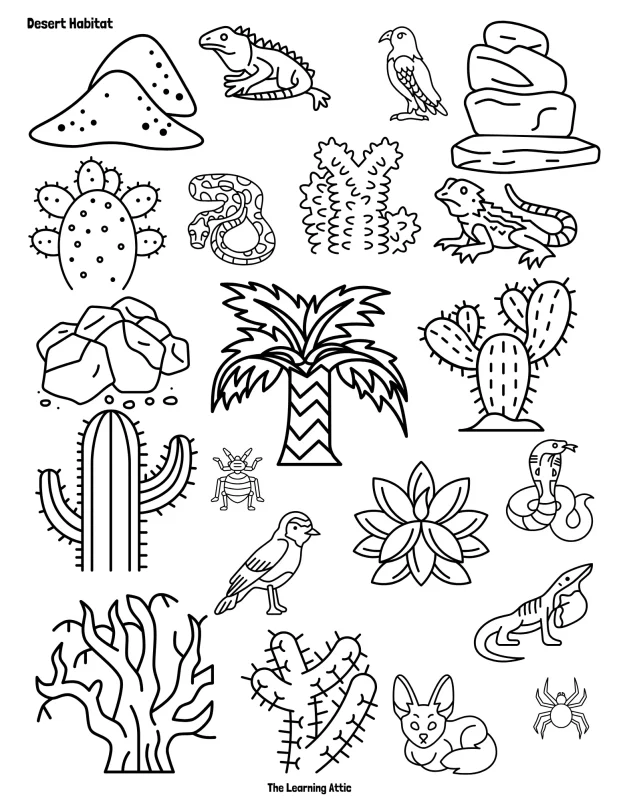 Earth Day 3D Fraction Terrarium Craft Earth Week Project Writing ...